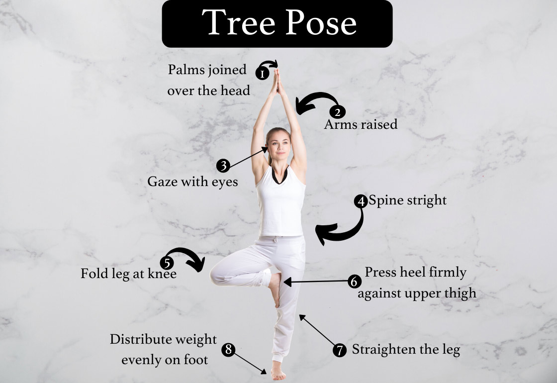 Yoga Aasan Tips: - DAILY FITNESS TIPS